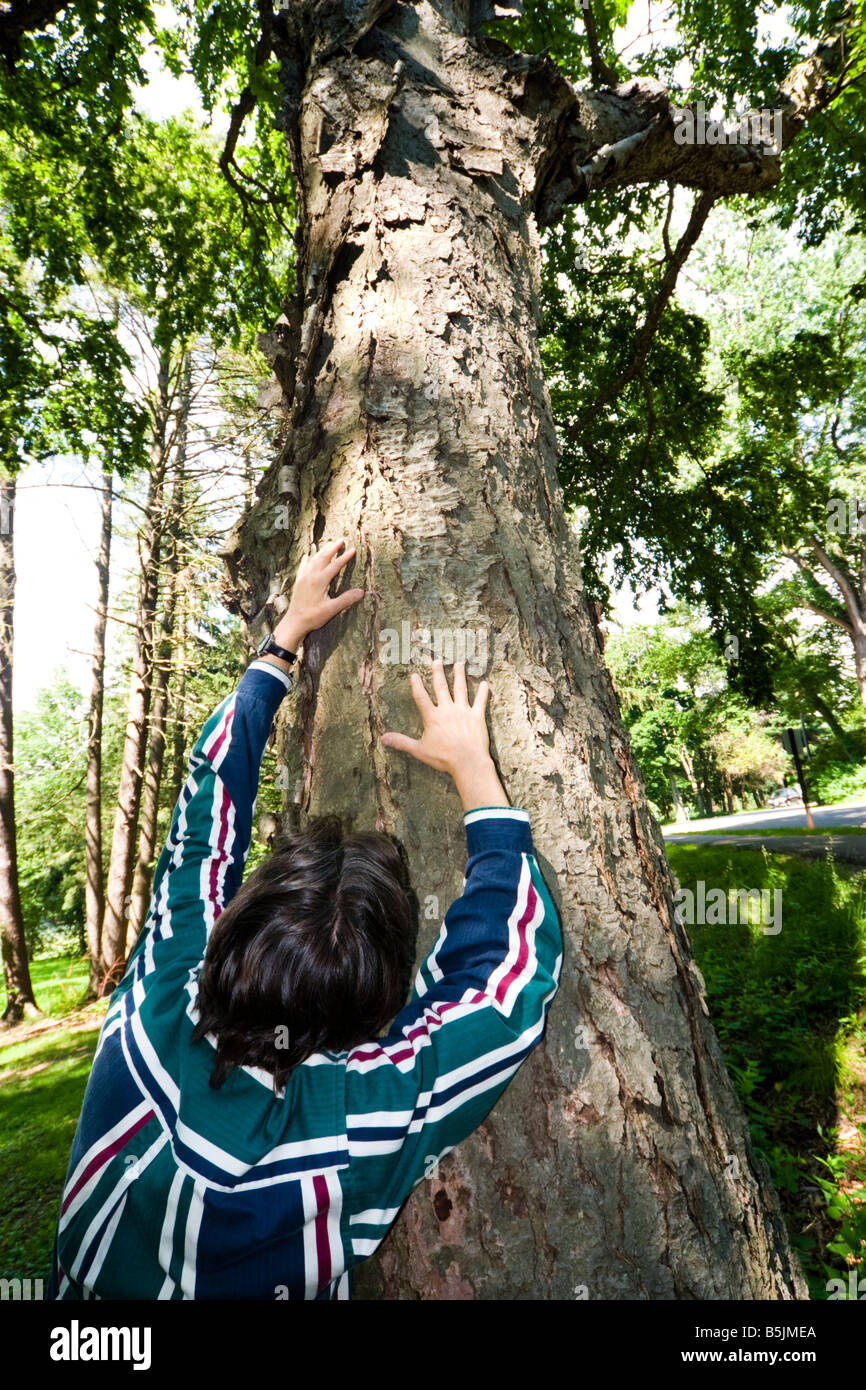 Man standing next to a tree at a park MODEL RELEASED Stock Photo - Alamy