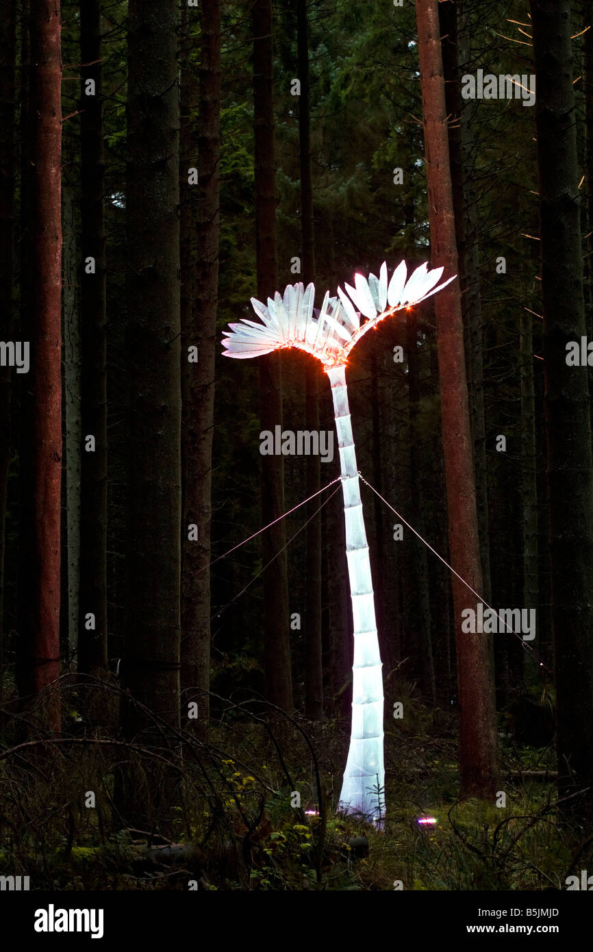 Kielder forest trees hi-res stock photography and images - Alamy