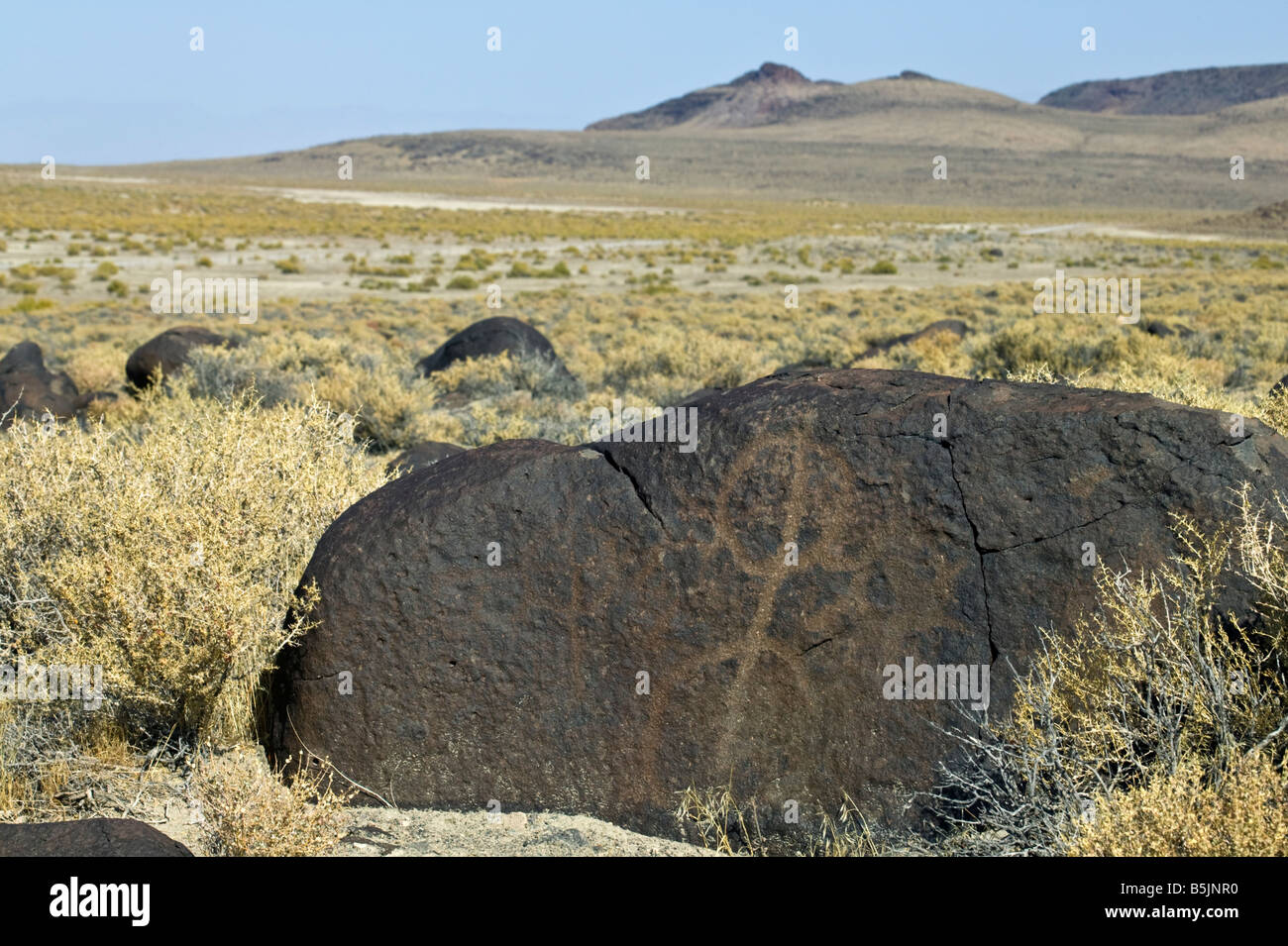 Fallon nevada hi-res stock photography and images - Alamy