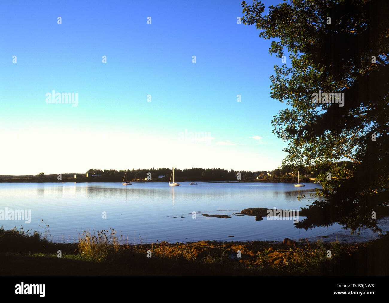 Early morning by maple juice cove cushing maine USA with small boats at ...