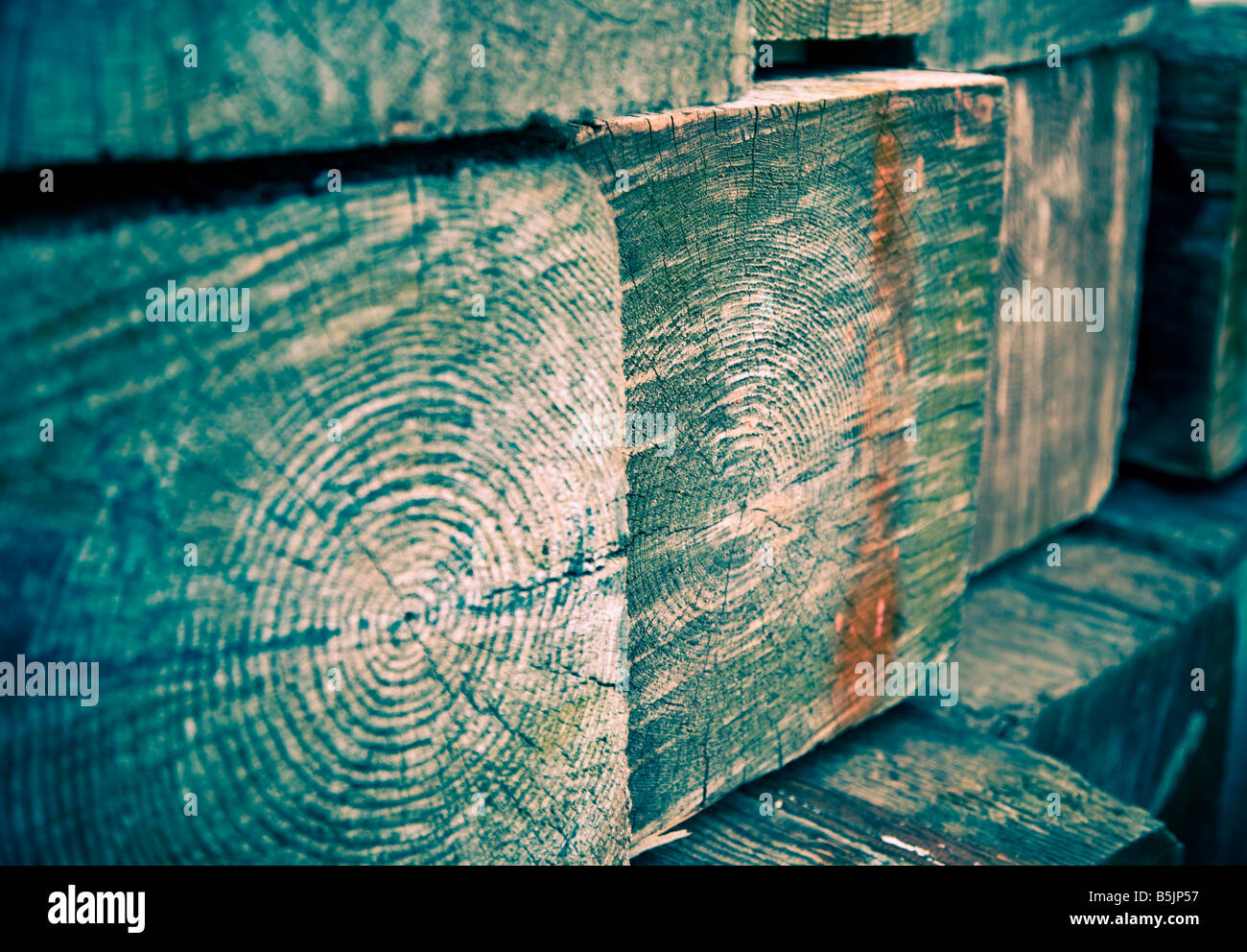 Traditional old oak Stock Photo - Alamy