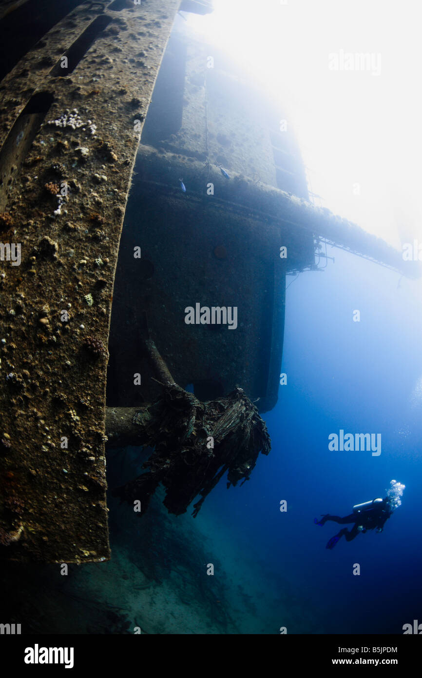 Dive images in the Red Sea, Egypt Stock Photo - Alamy