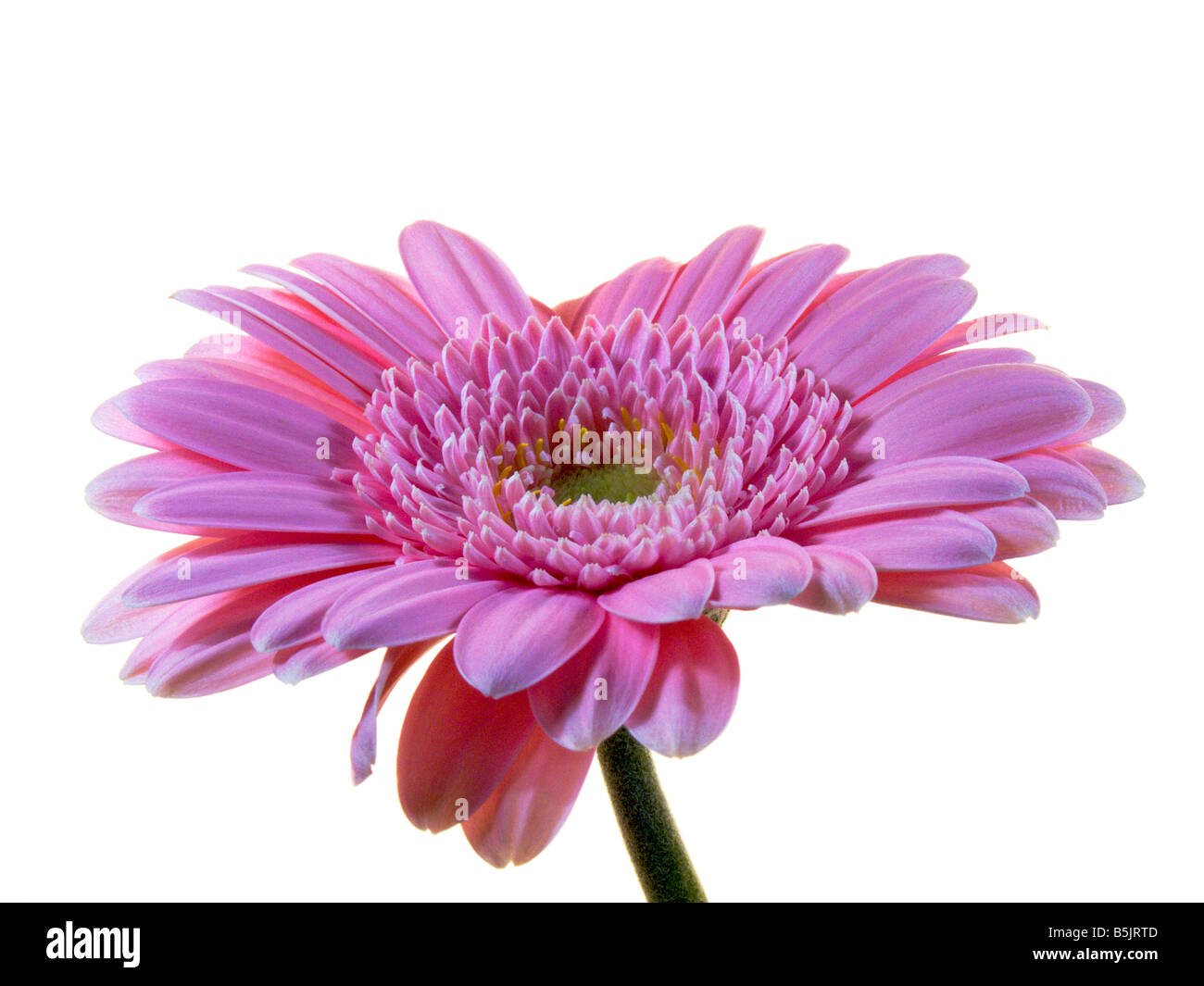 Kimsey hi-res stock photography and images - Alamy