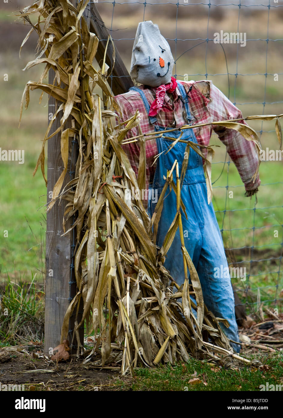 Scarecrow on a pole Stock Photo - Alamy