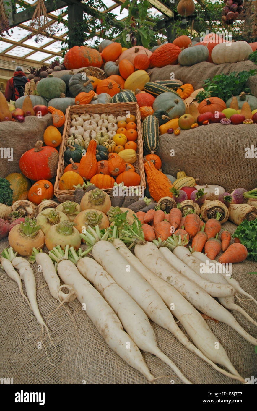 a harvest display at heligan gardens,cornwall,uk Stock Photo - Alamy