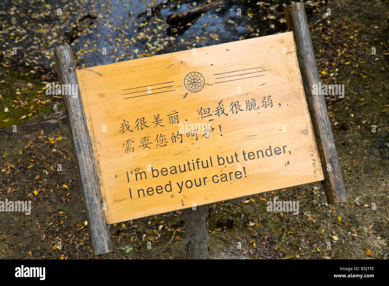 Conservation warning sign "I'm beautiful but tender I need your care ...