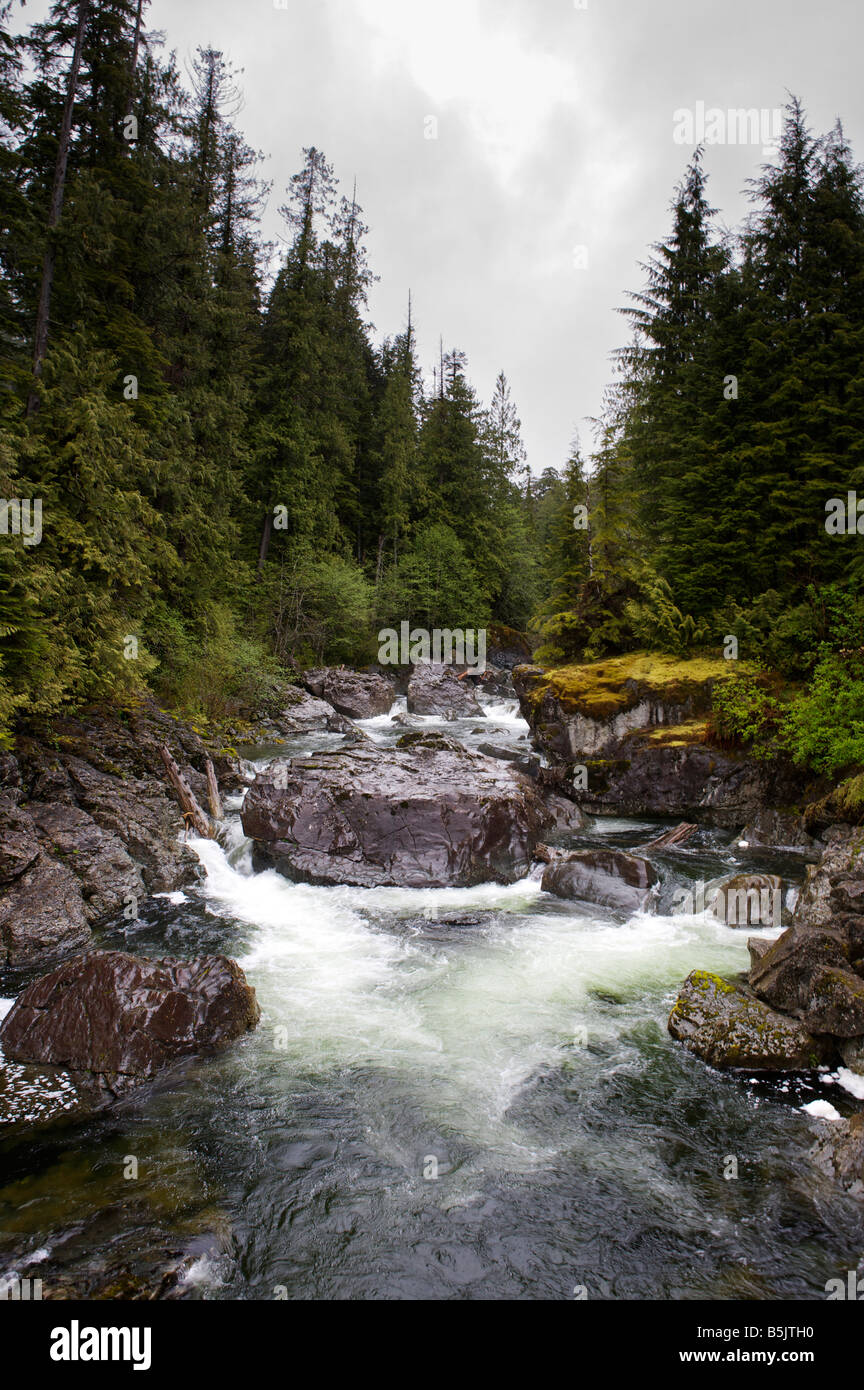 Gold River, British Columbia Stock Photo - Alamy