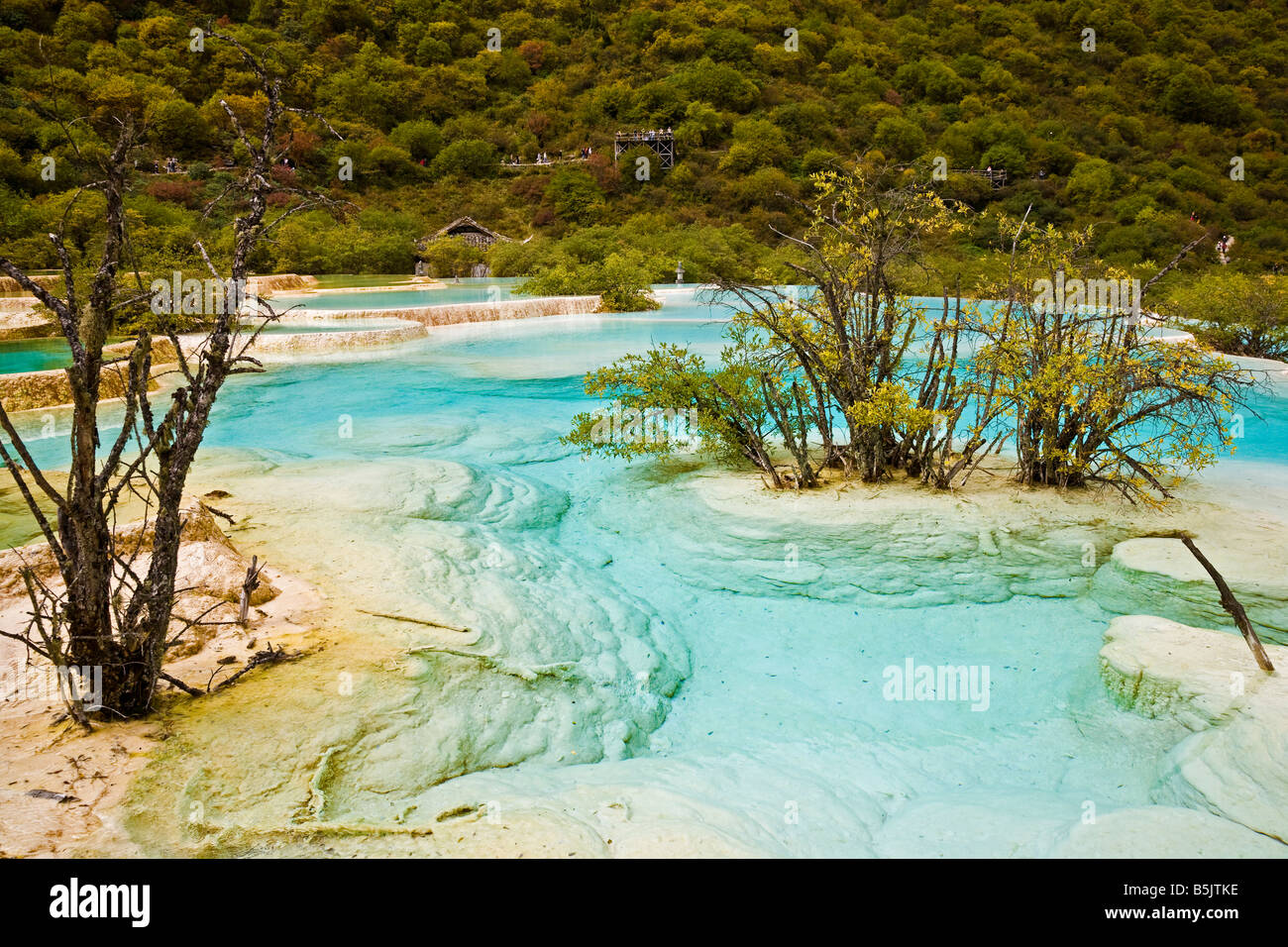 Five Colour Pool travertine calcite terrace in Huanglong Sichuan ...