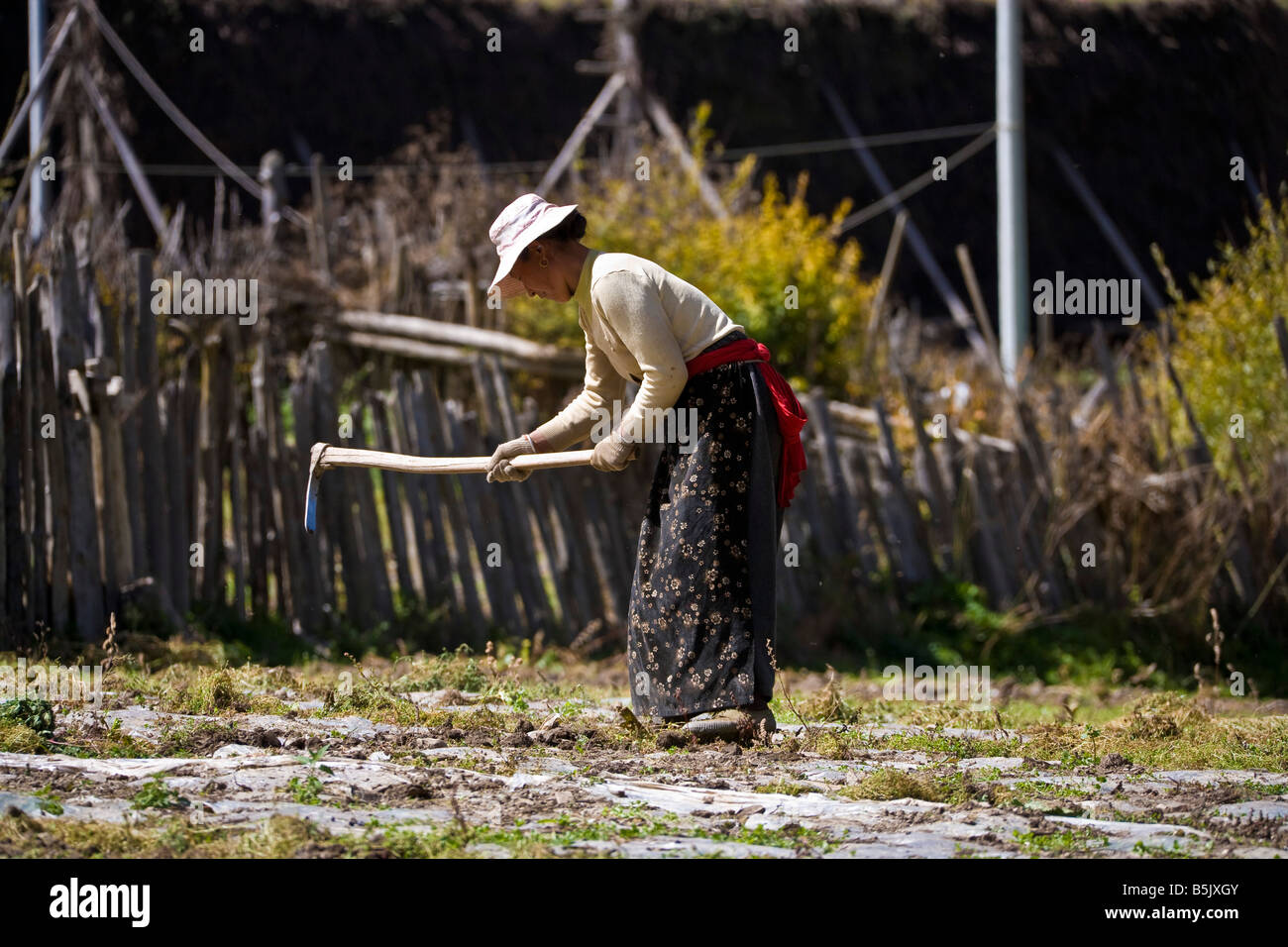 Peasant digging hi-res stock photography and images - Alamy