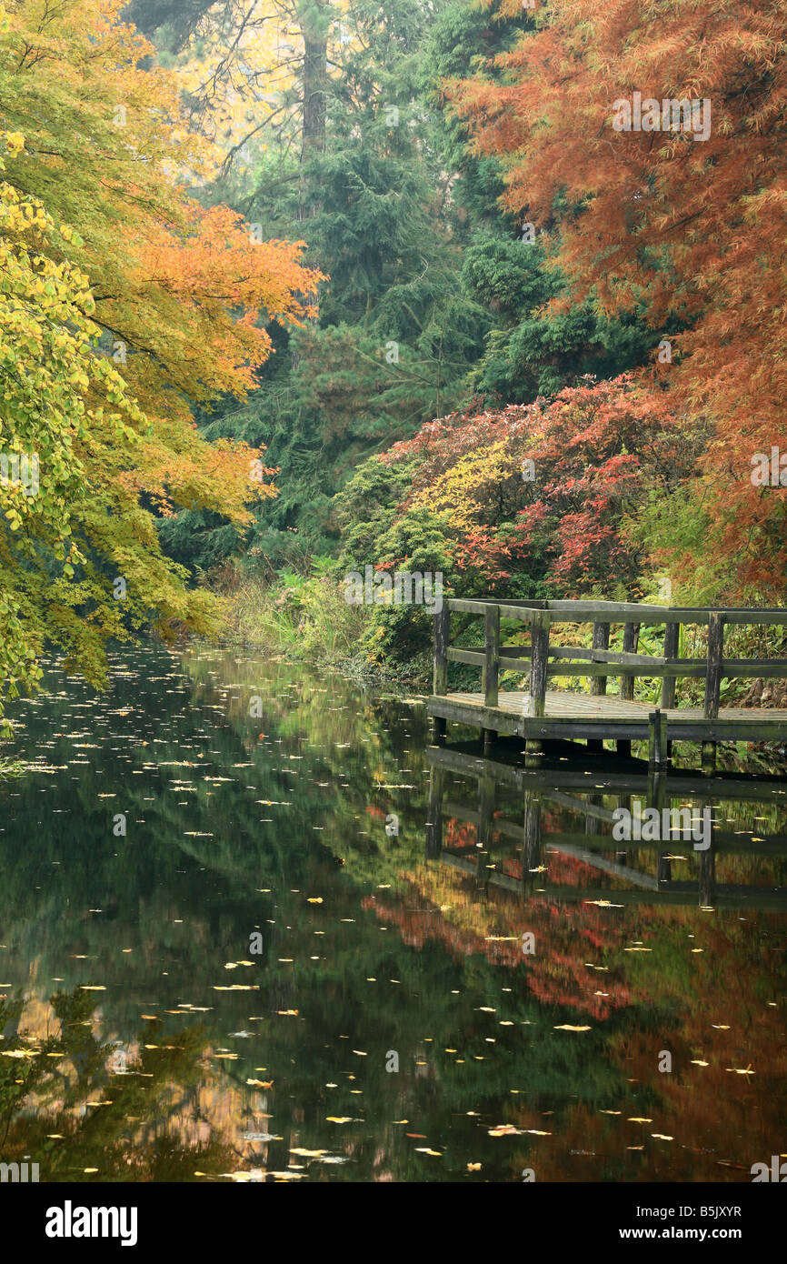 Quiet water and autumn colours colors Stock Photo - Alamy