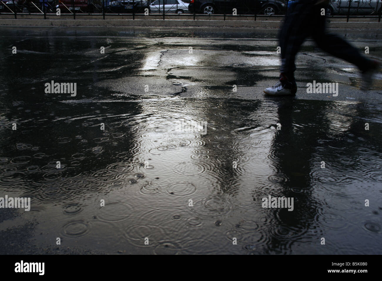 lots rain drops falling in water puddle in street Stock Photo - Alamy