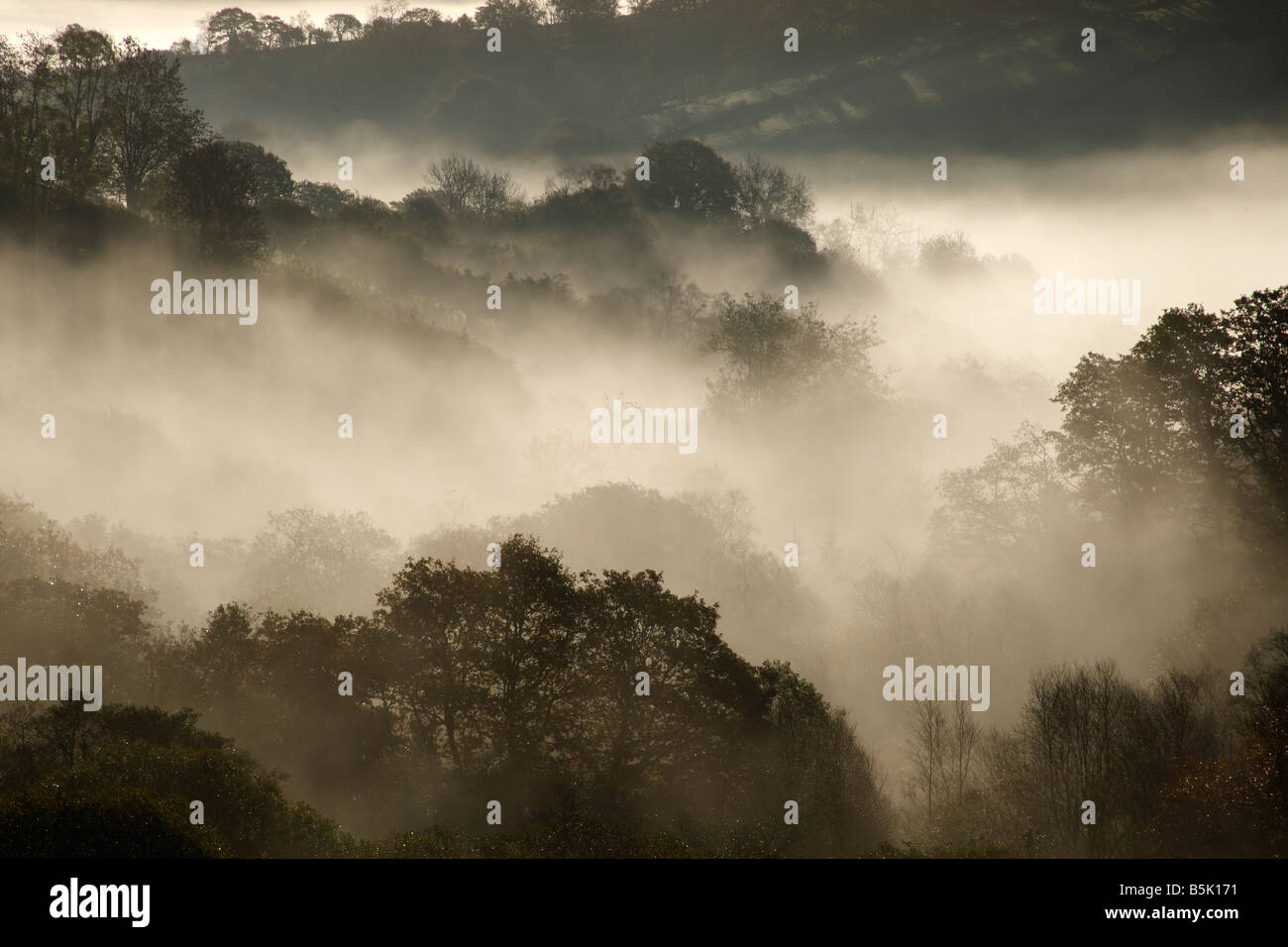 Early morning mist hi-res stock photography and images - Alamy