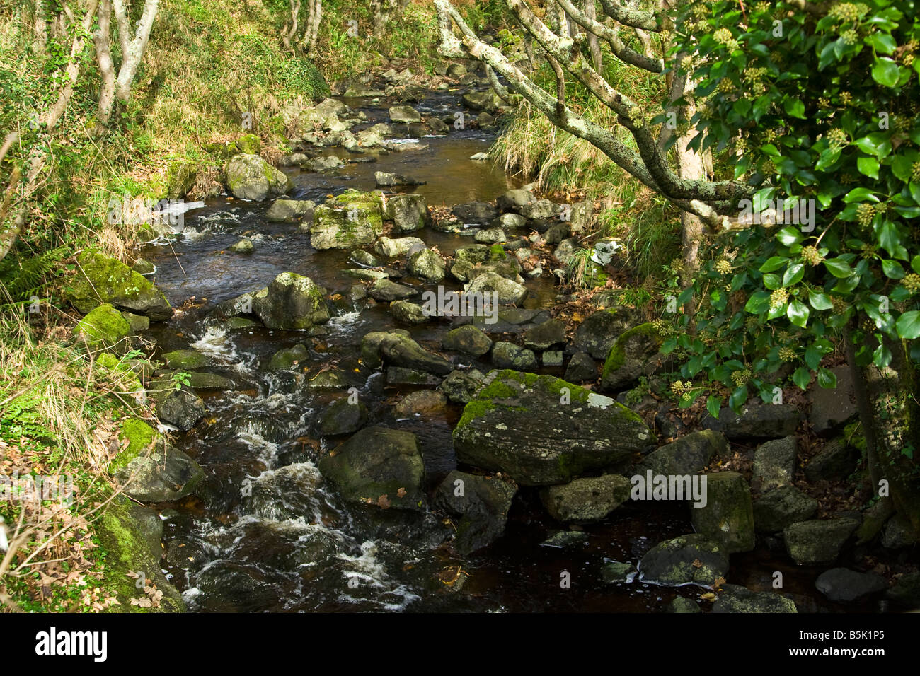 Rocky river uk hi-res stock photography and images - Alamy