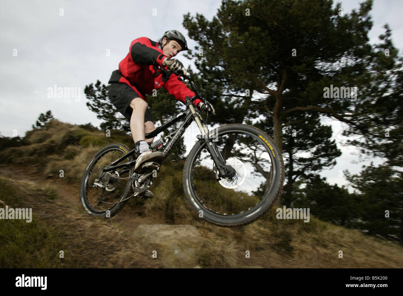 A mountain biker riding on a trail Stock Photo - Alamy