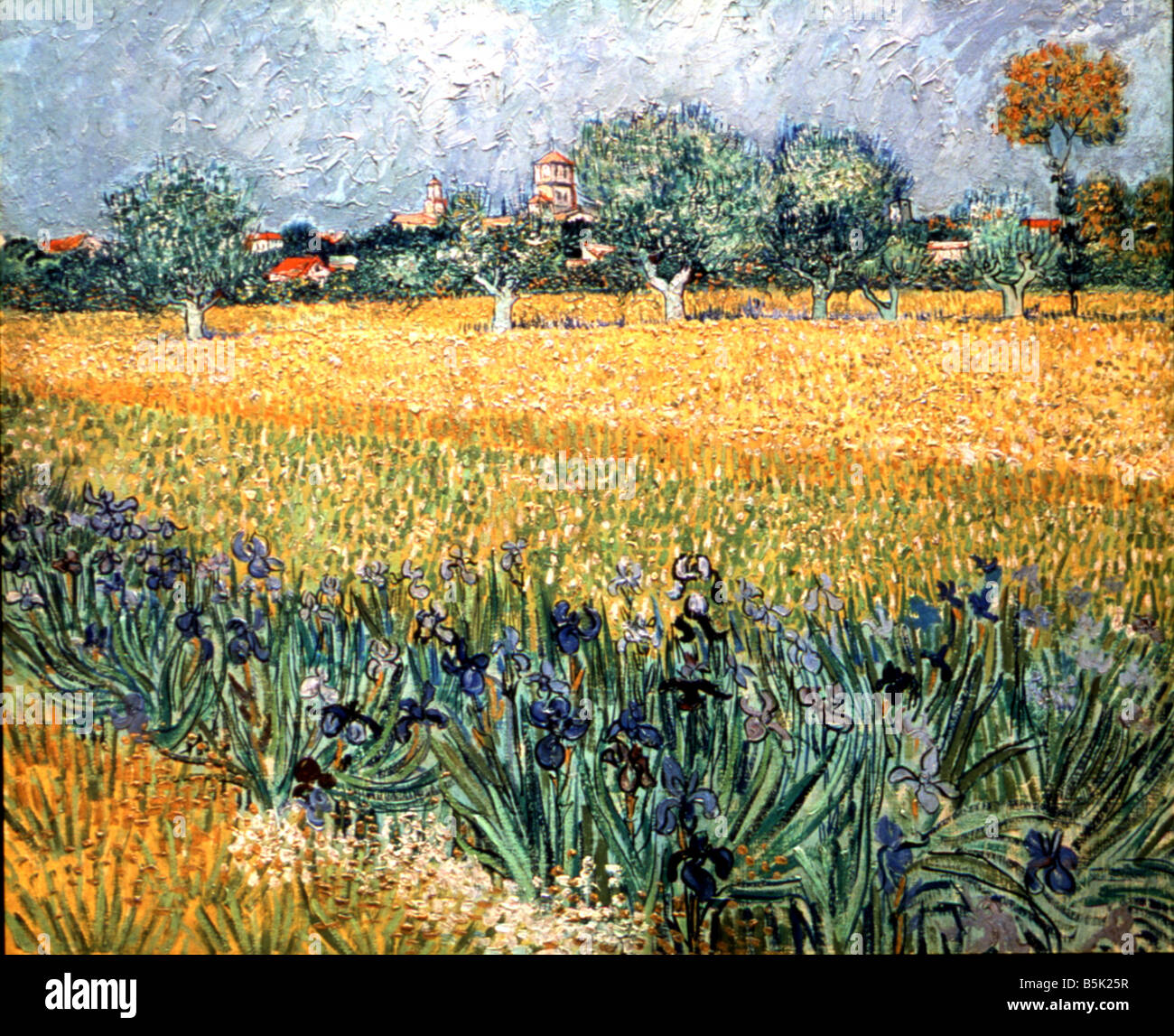 Van Gogh, View of Arles with irises Stock Photo - Alamy