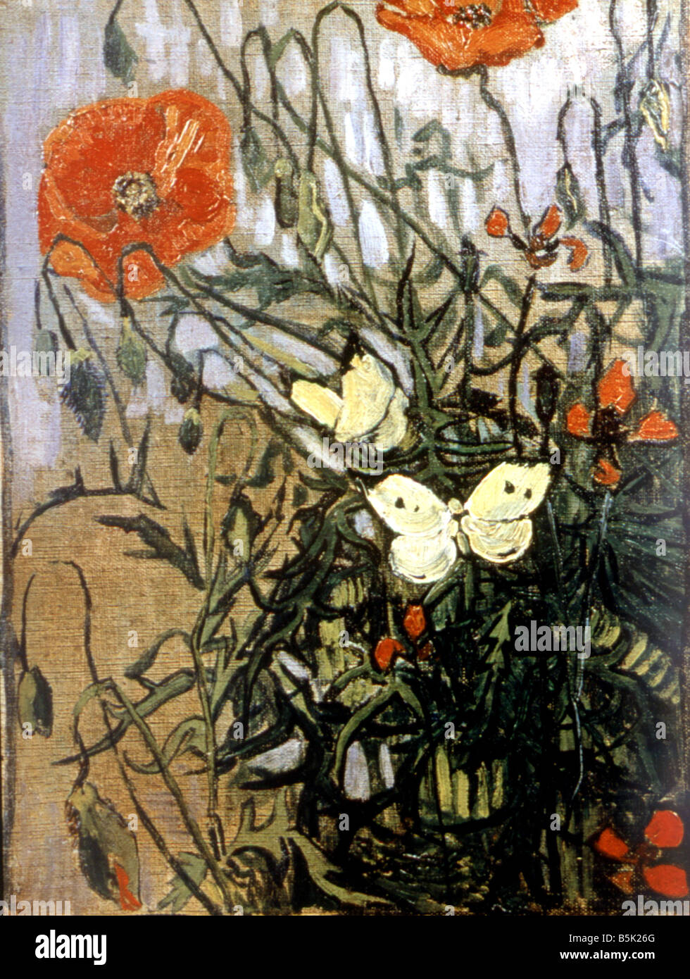 Van Gogh, Butterflies and poppies Stock Photo - Alamy
