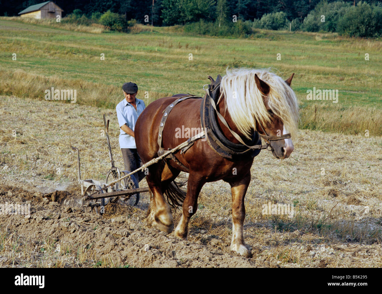 Tillage drudgery toil with horse plough hi-res stock photography and ...