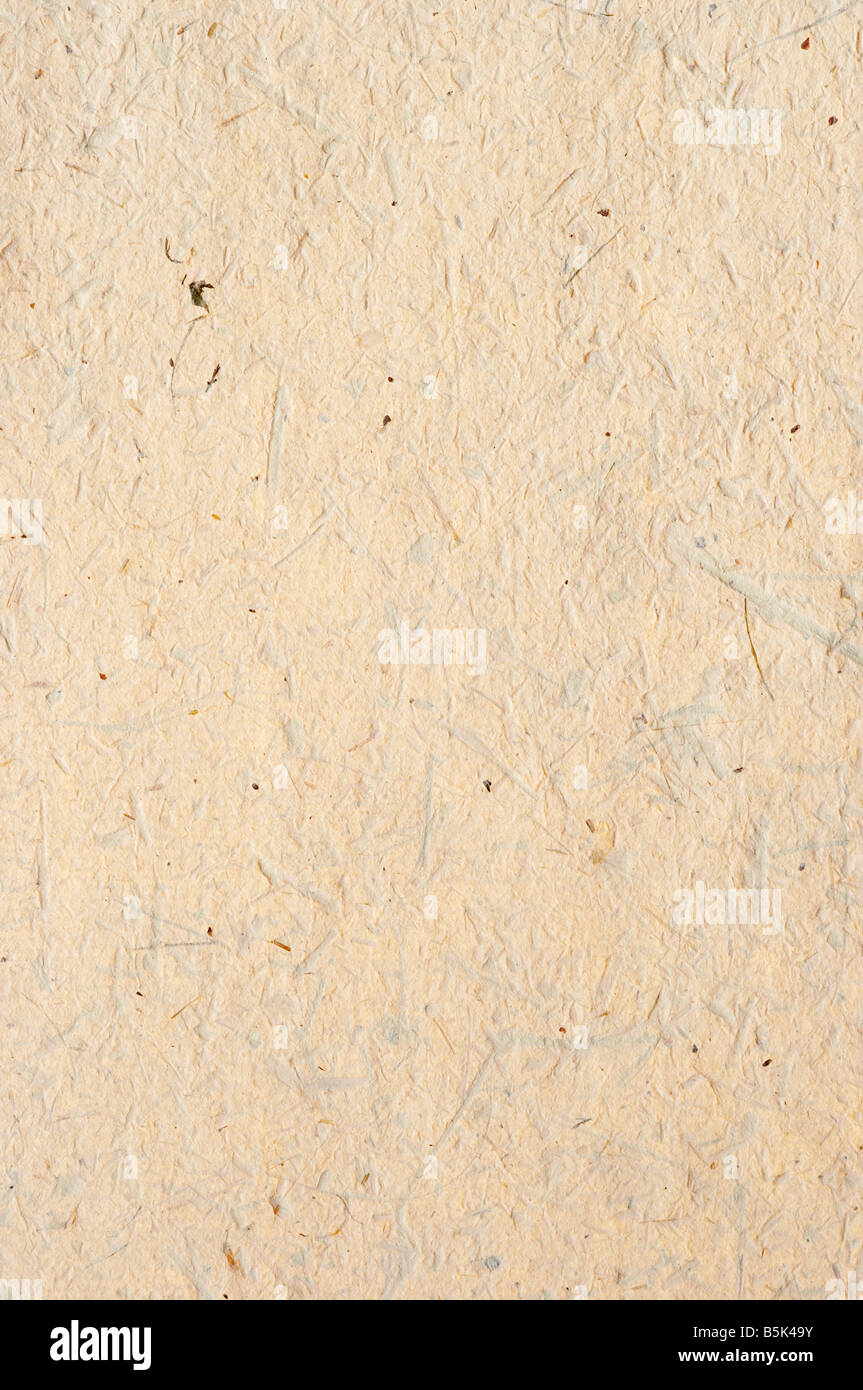 Detail of the rough surface of the handmade paper with remains of ...