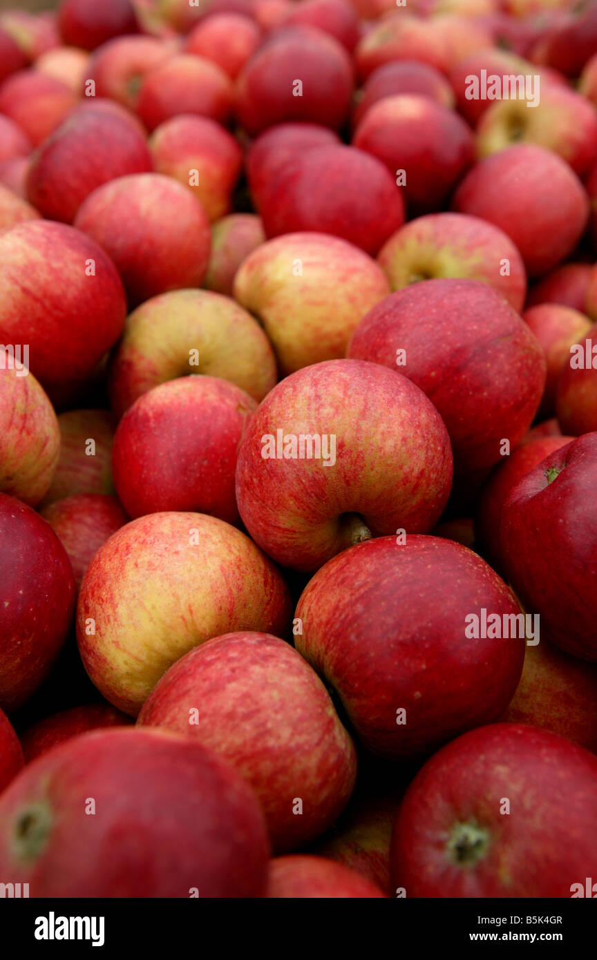 Pile of apple boxes hi-res stock photography and images - Alamy