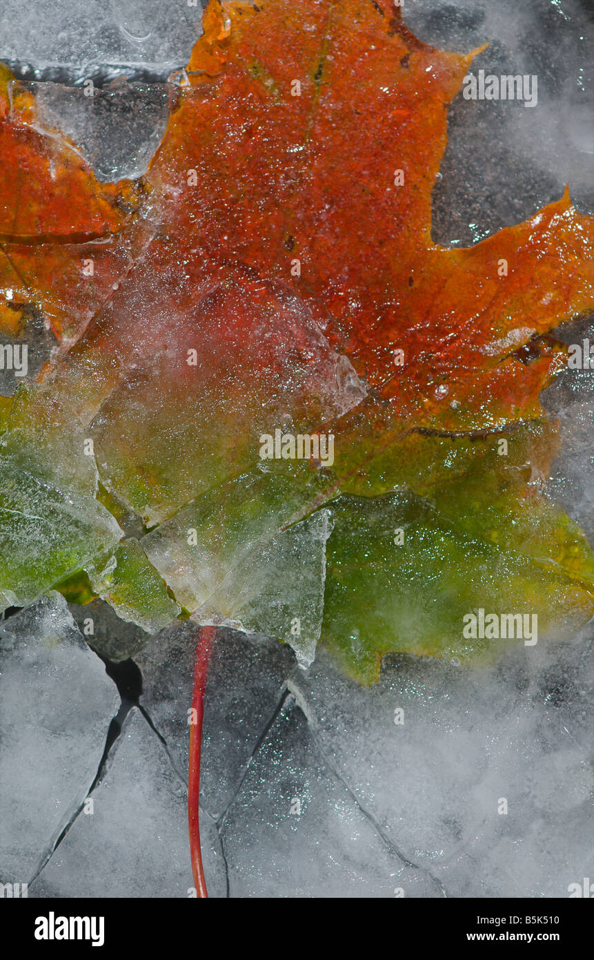 Fall frozen water hi-res stock photography and images - Alamy