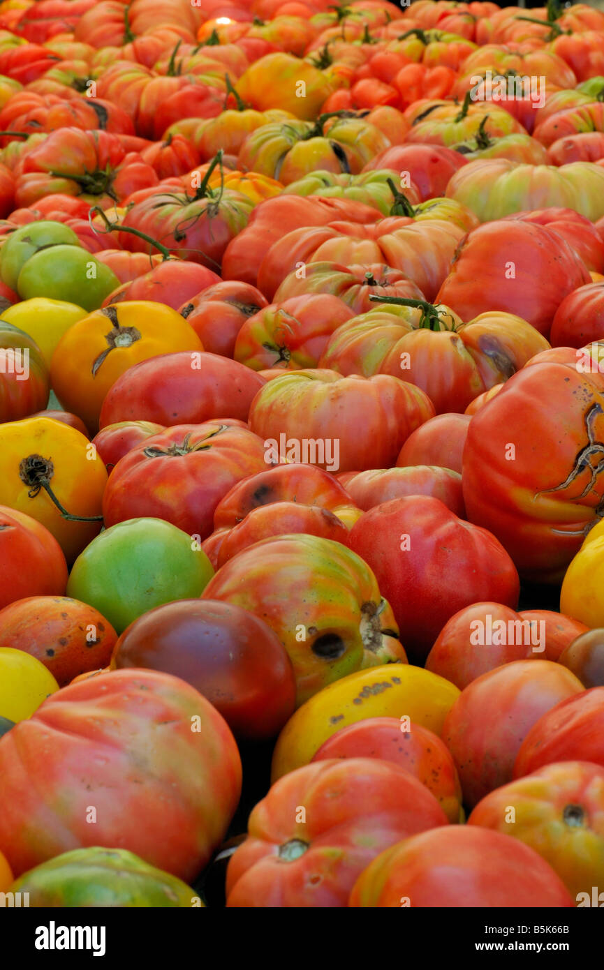 Tomatoes for sale at a New York City green market Stock Photo - Alamy