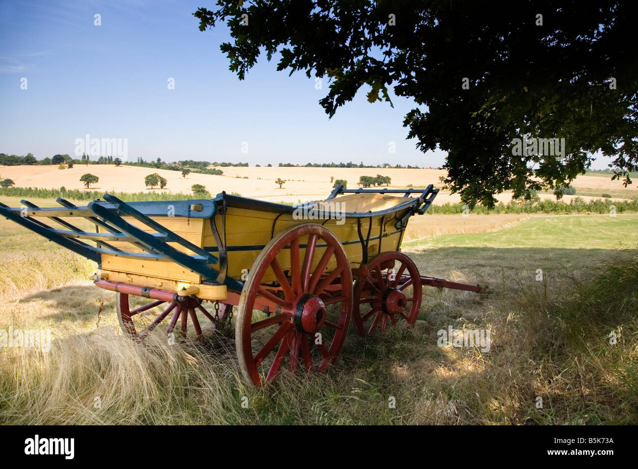 A RARE YELLOW ESSEX WAGON UNDER A TREE BY A FIELD IN ESSEX. A CART ...