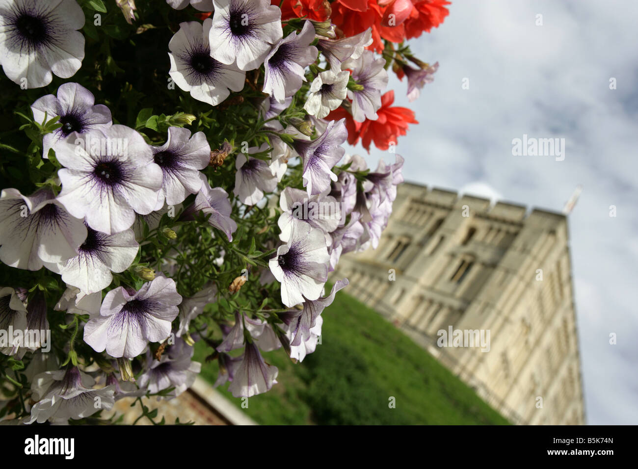 City of Norwich, England. Castle Meadow floral display, with Norwich ...