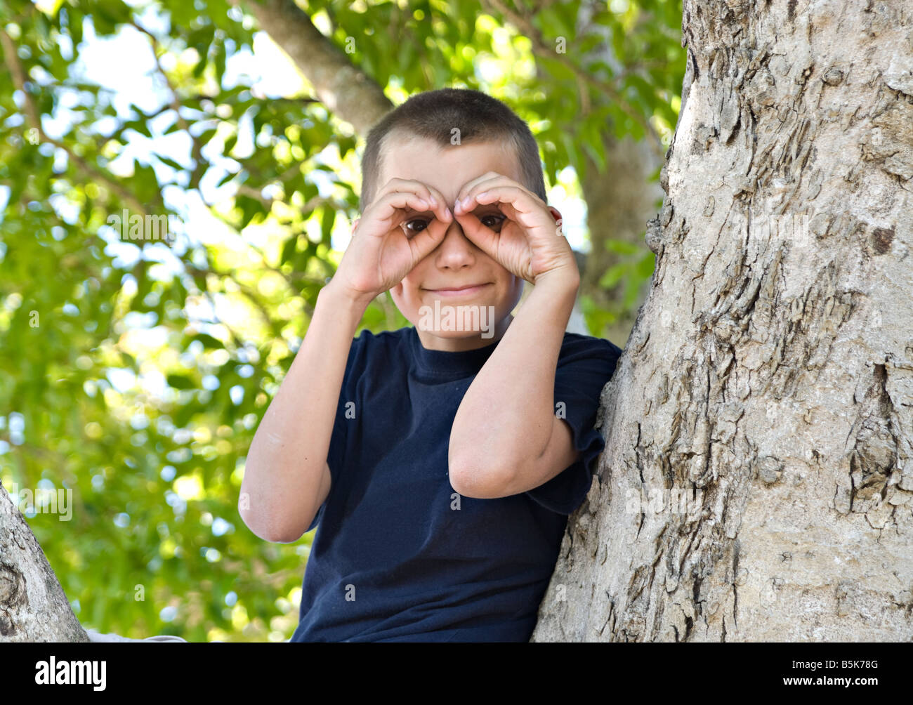 boy up in a tree using hands as binoculars Stock Photo - Alamy