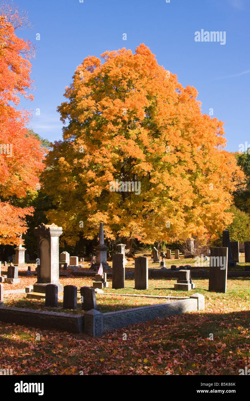 Colorful maple trees in autumn at an historic cemetery in Amesbury ...