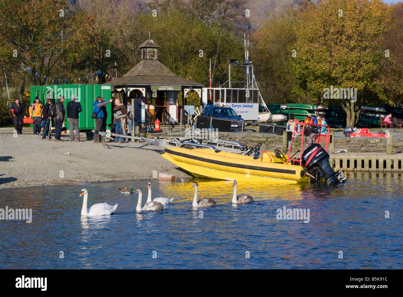 A Family of Mute Swans with Yellow Rescue Rib at Coniston Water ...