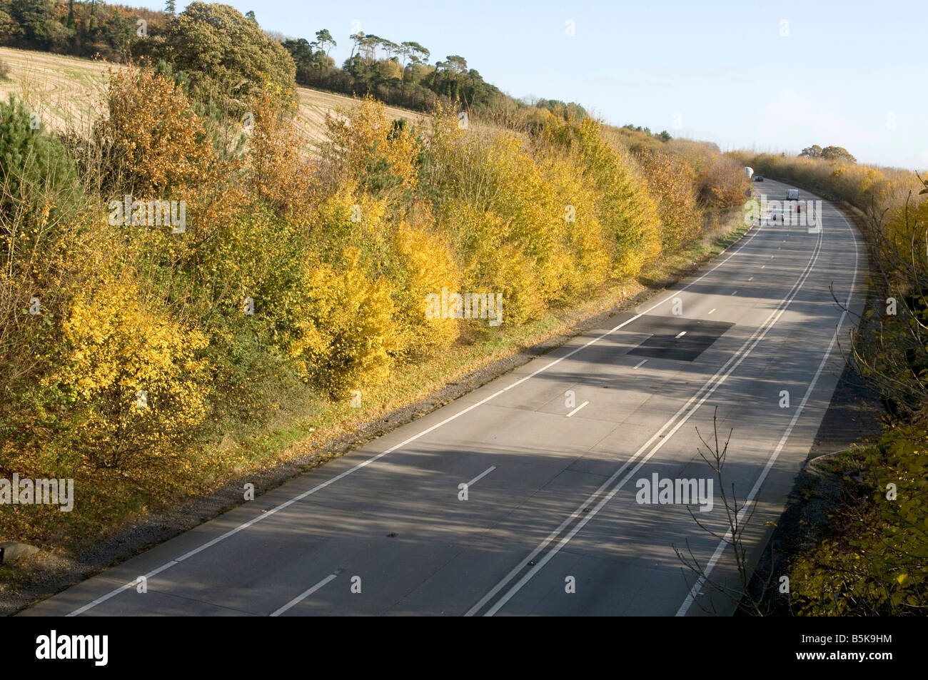 Roadside autumn colour Stock Photo - Alamy