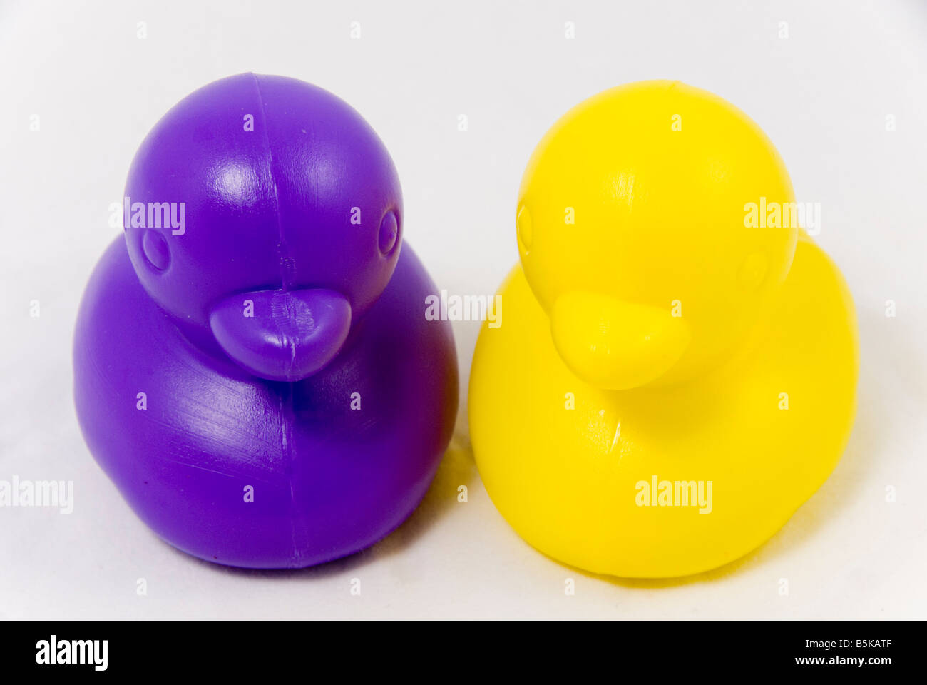 Two Bath Toy Ducks of Purple and Yellow Cut Out on White Stock Photo ...
