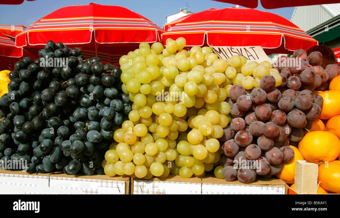 Picking Red Grapes Bordeaux High Resolution Stock Photography and ...