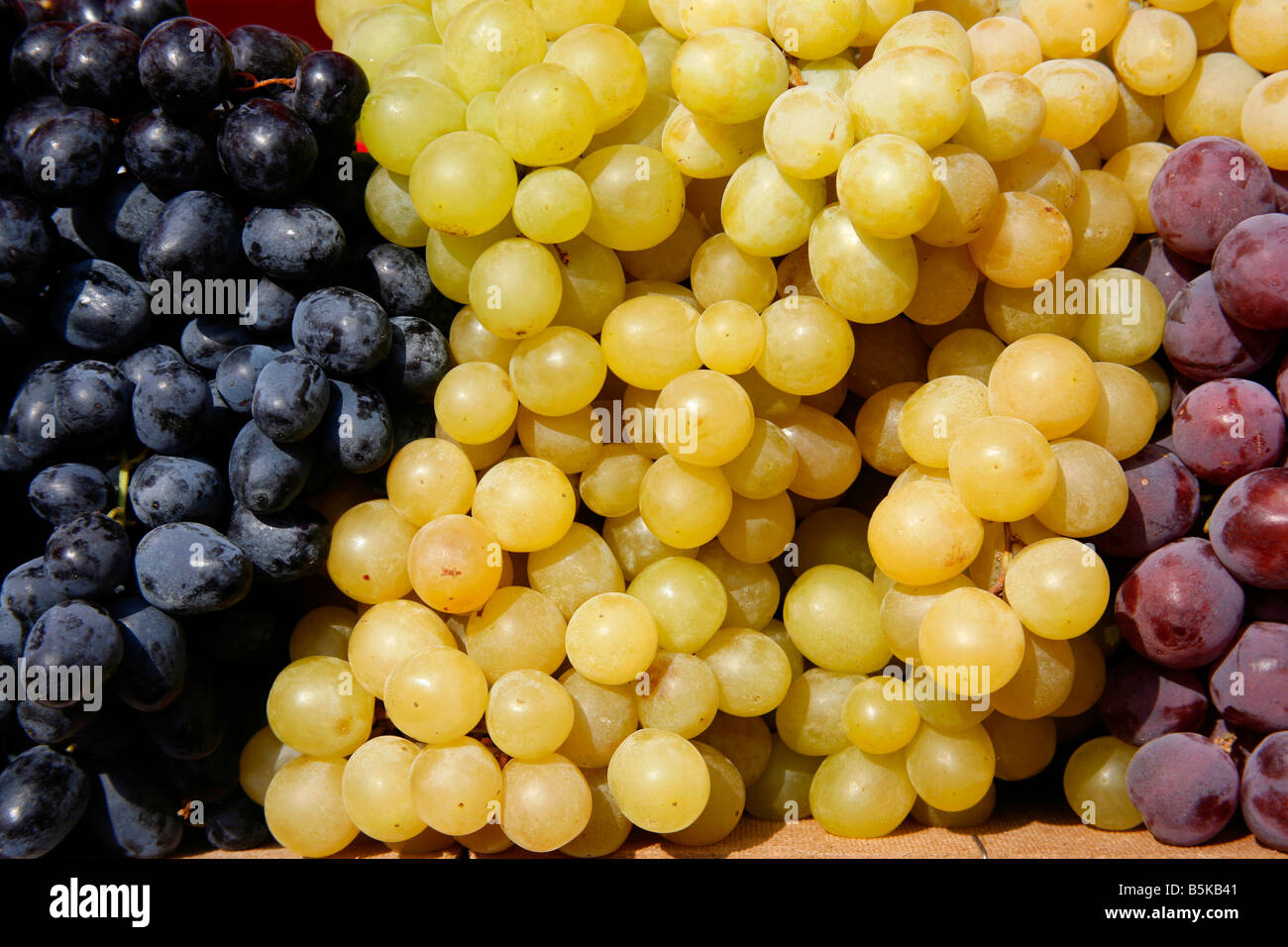 Display of fresh colourful grapes on market in Europe Stock Photo - Alamy