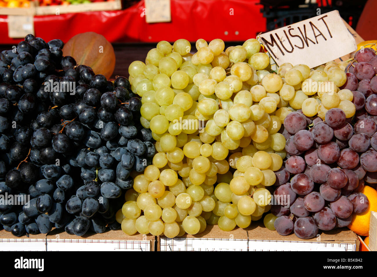 Display of fresh colourful grapes on market in Europe Stock Photo - Alamy