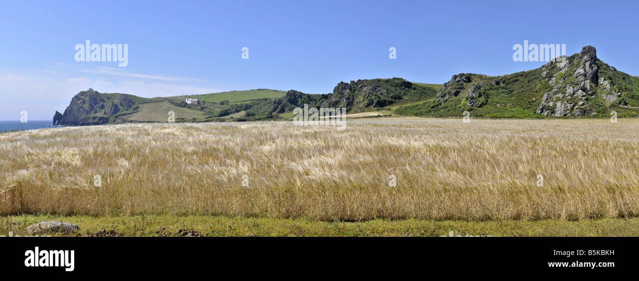 The south west devon coast path at prawle point Stock Photo - Alamy