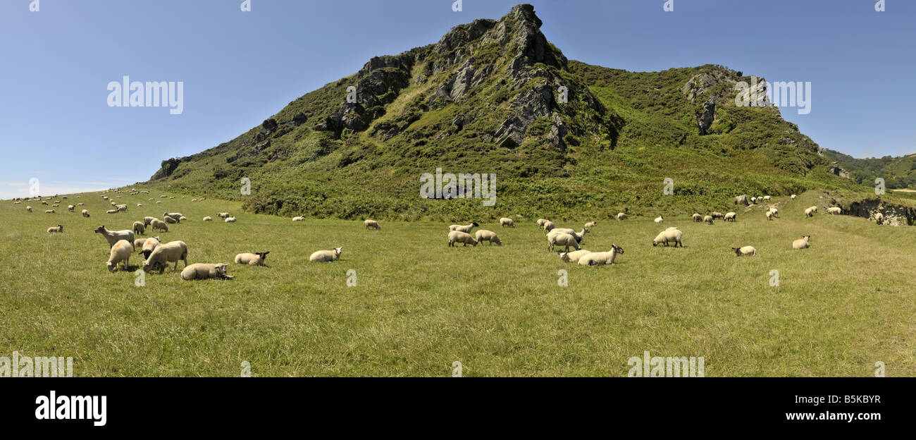 The south west devon coast path at prawle point Stock Photo - Alamy