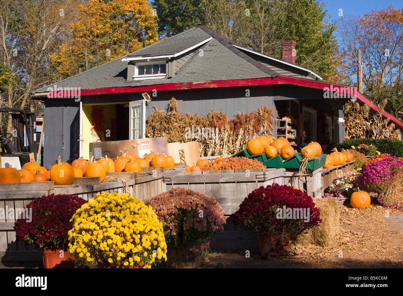 Autumn harvest at a New England farm stand in West Newbury ...