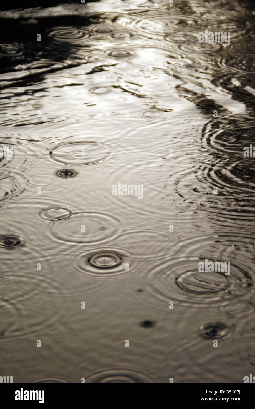 lots rain drops falling in water puddle in street Stock Photo - Alamy