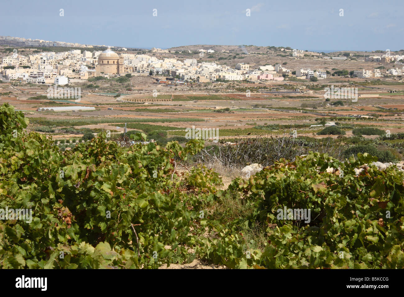Crops in malta hi-res stock photography and images - Alamy