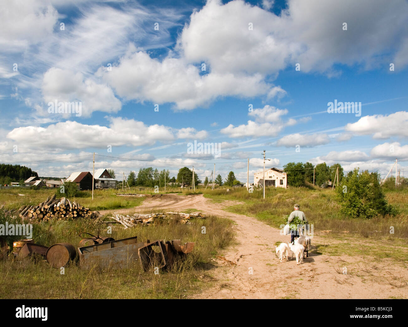 Village goat hi-res stock photography and images - Alamy