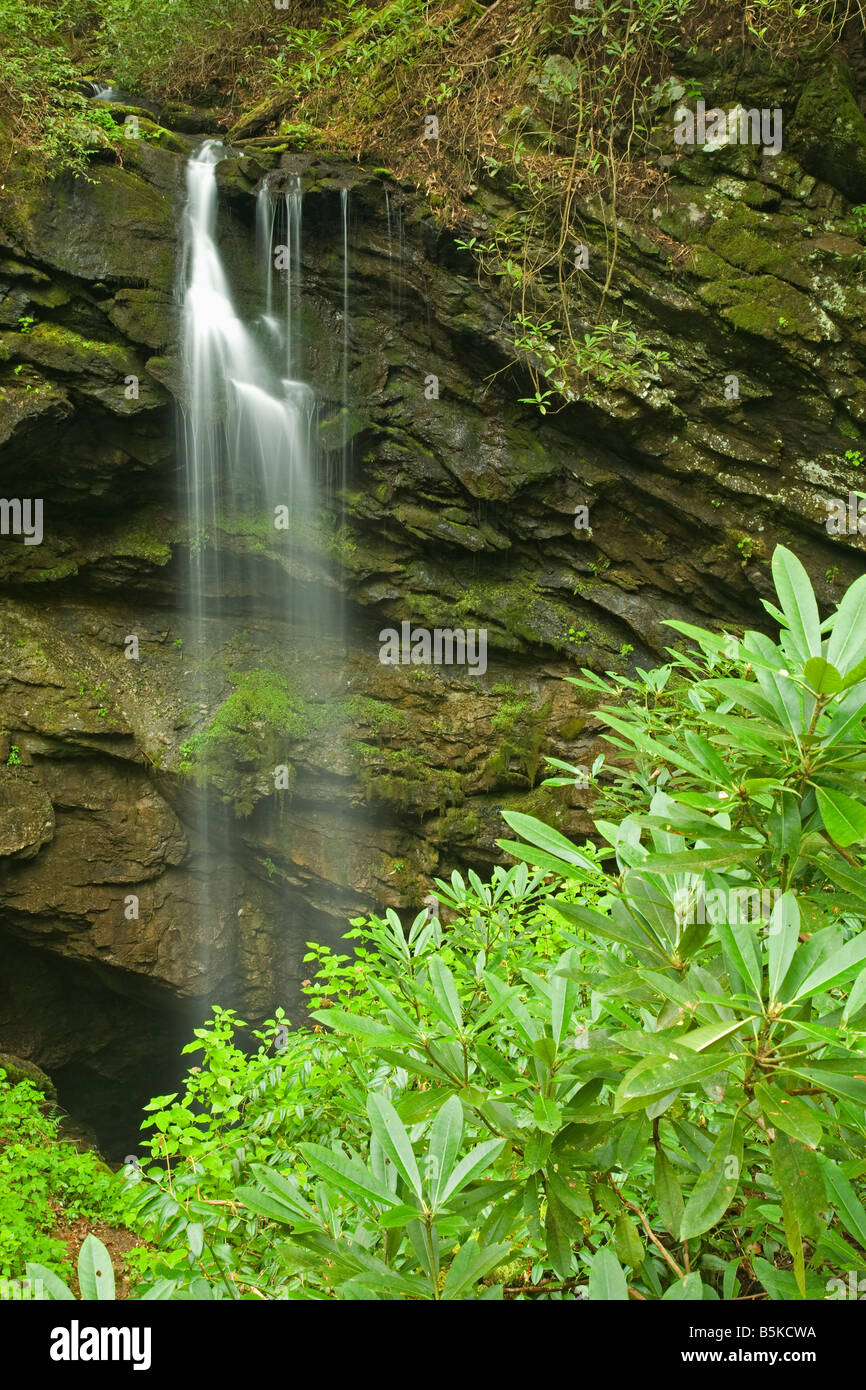 Great smoky mountains white oak sink hi-res stock photography and ...