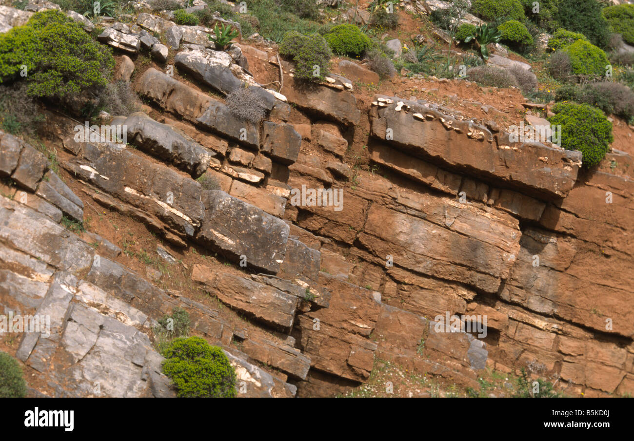 Schistouse hi-res stock photography and images - Alamy