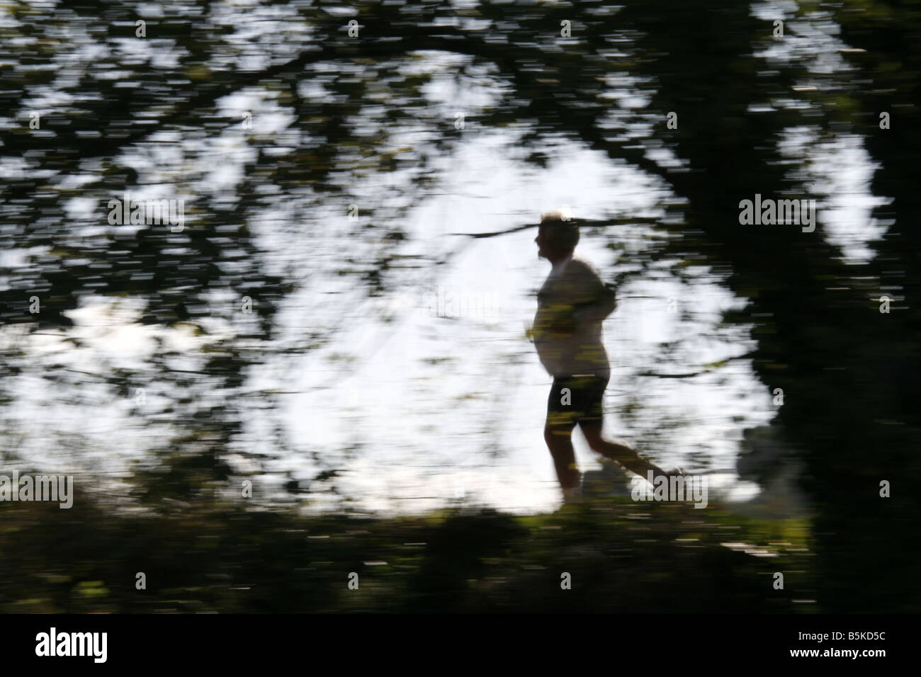 silhouette lonely runner in woods Stock Photo - Alamy