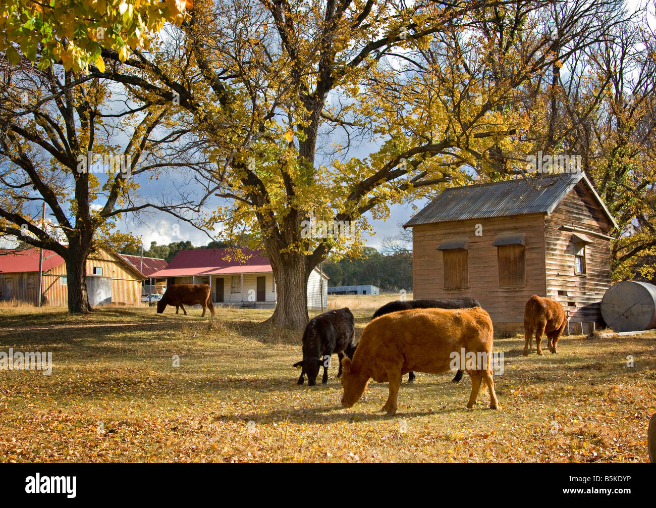L farm hi-res stock photography and images - Alamy
