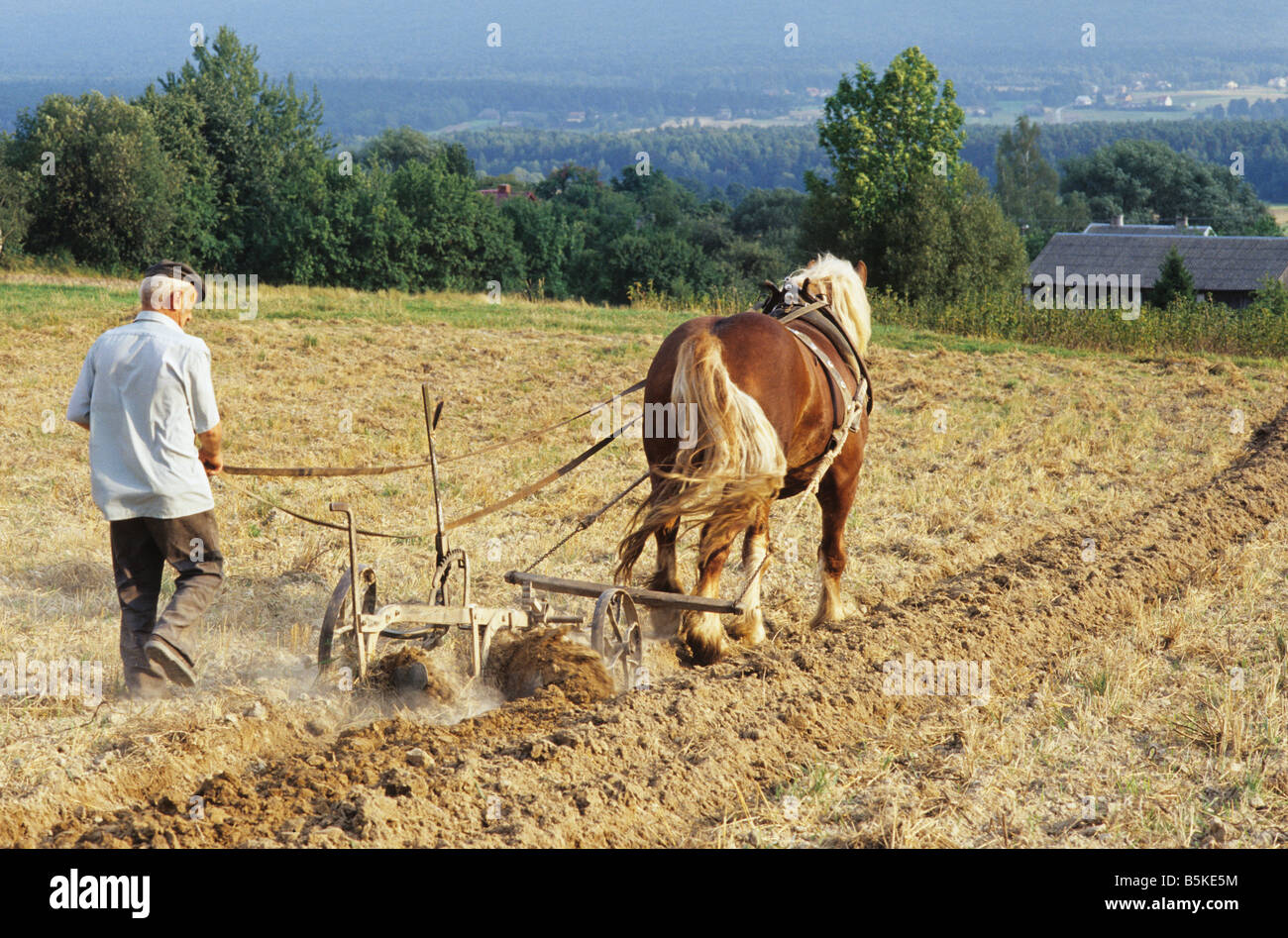 Poland Psary village, tillage drudgery toil with horse plough Stock ...