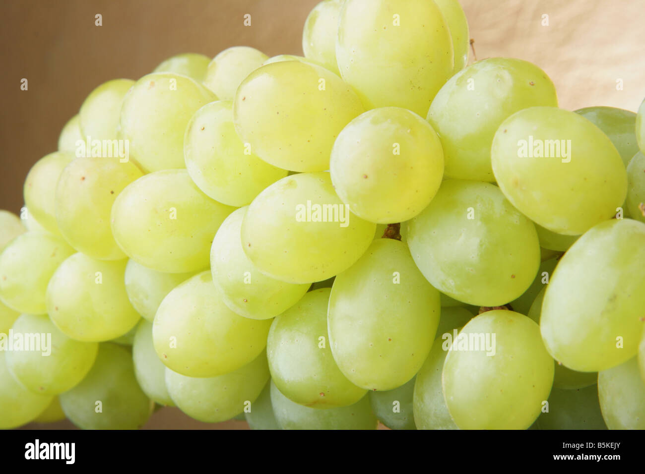 Bunch of grapes close up may be used as background Stock Photo - Alamy