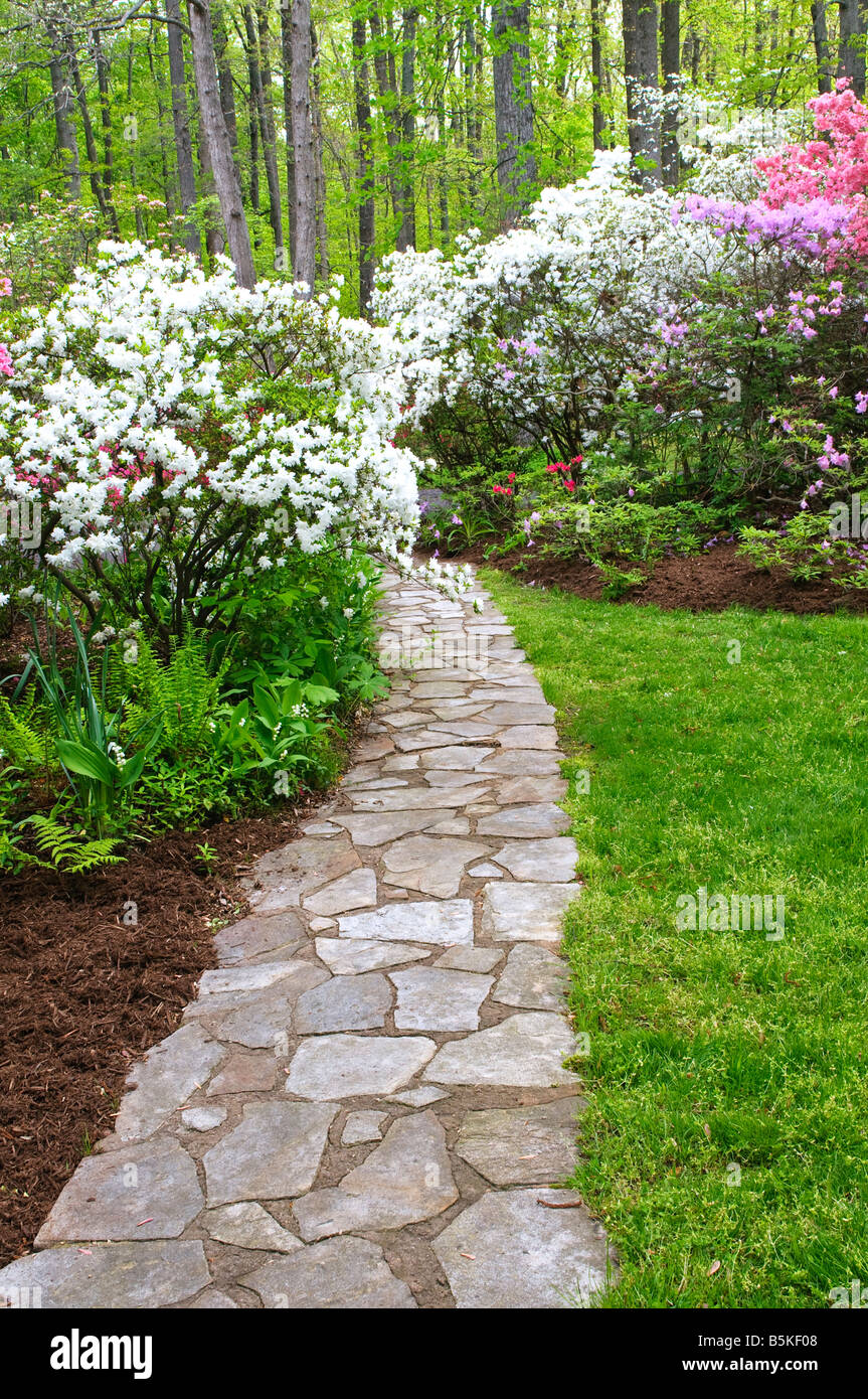 Stone walkway through an azalea garden Stock Photo - Alamy