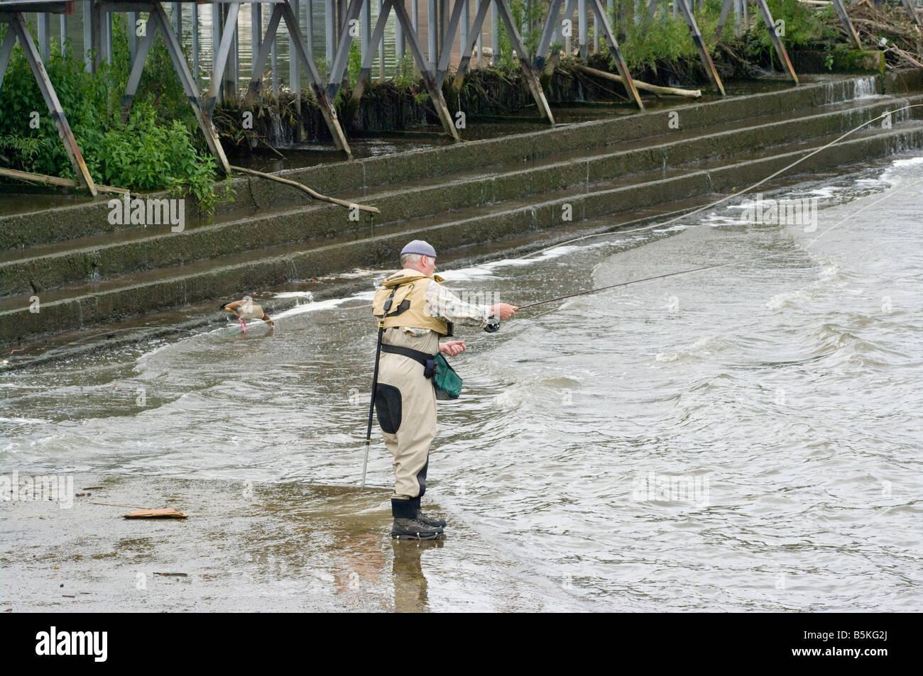 Elderly Fly Fisherman Fishing Angling Molesey Weir River Thames Surrey ...