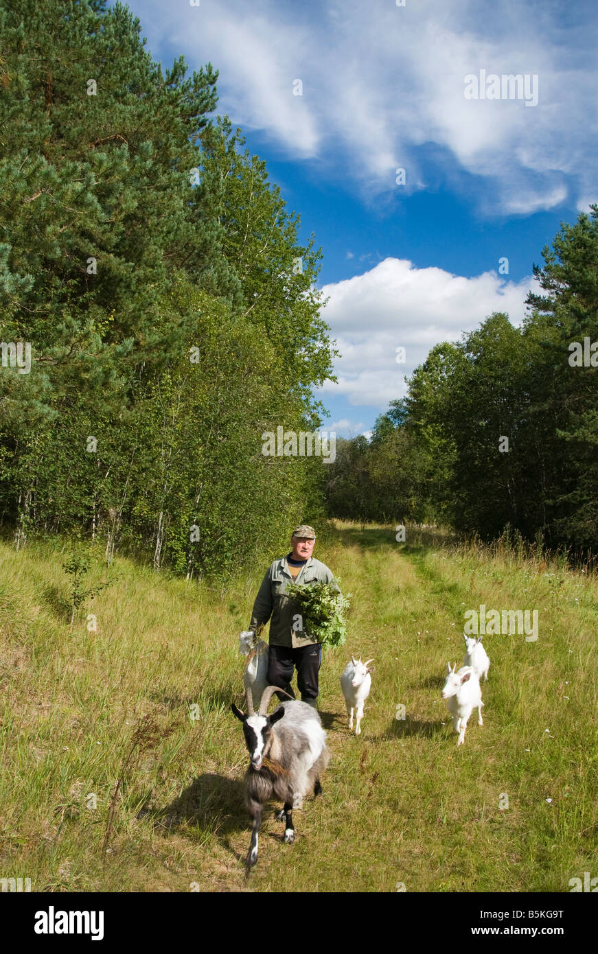 Goat russia hi-res stock photography and images - Alamy